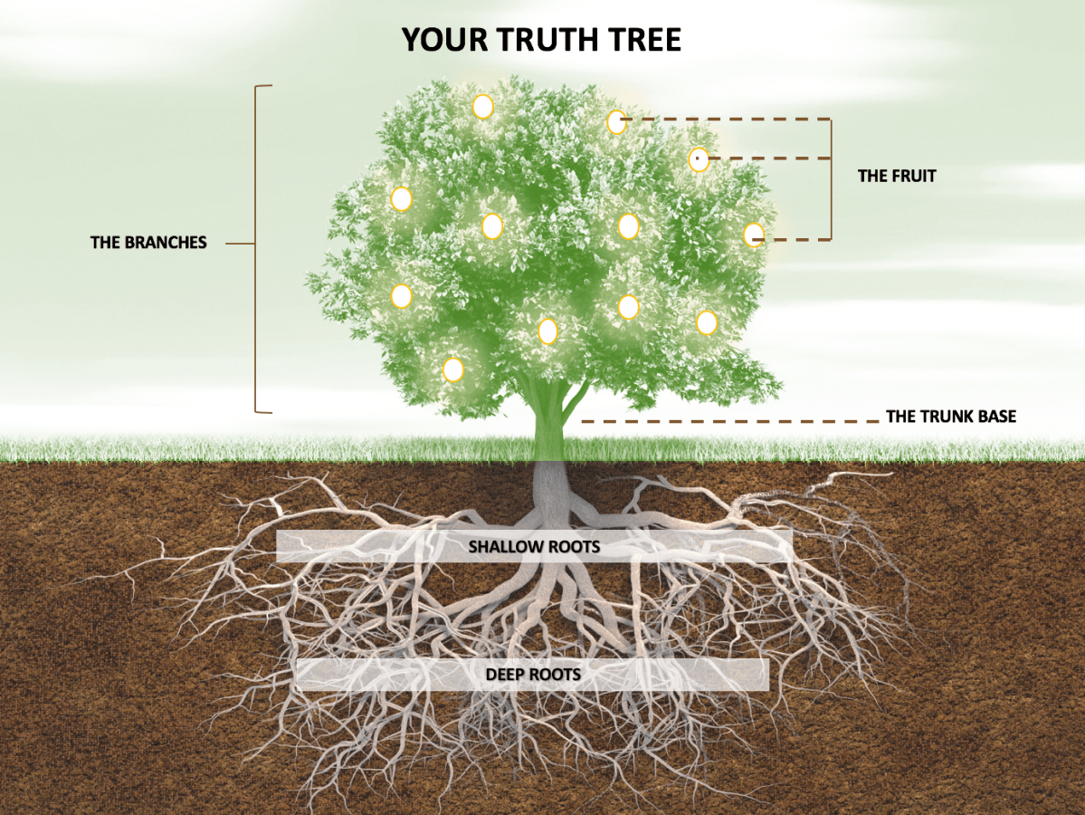 Your Truth Tree – Deep Roots (Part 1) – Journey Doctrine of Christ